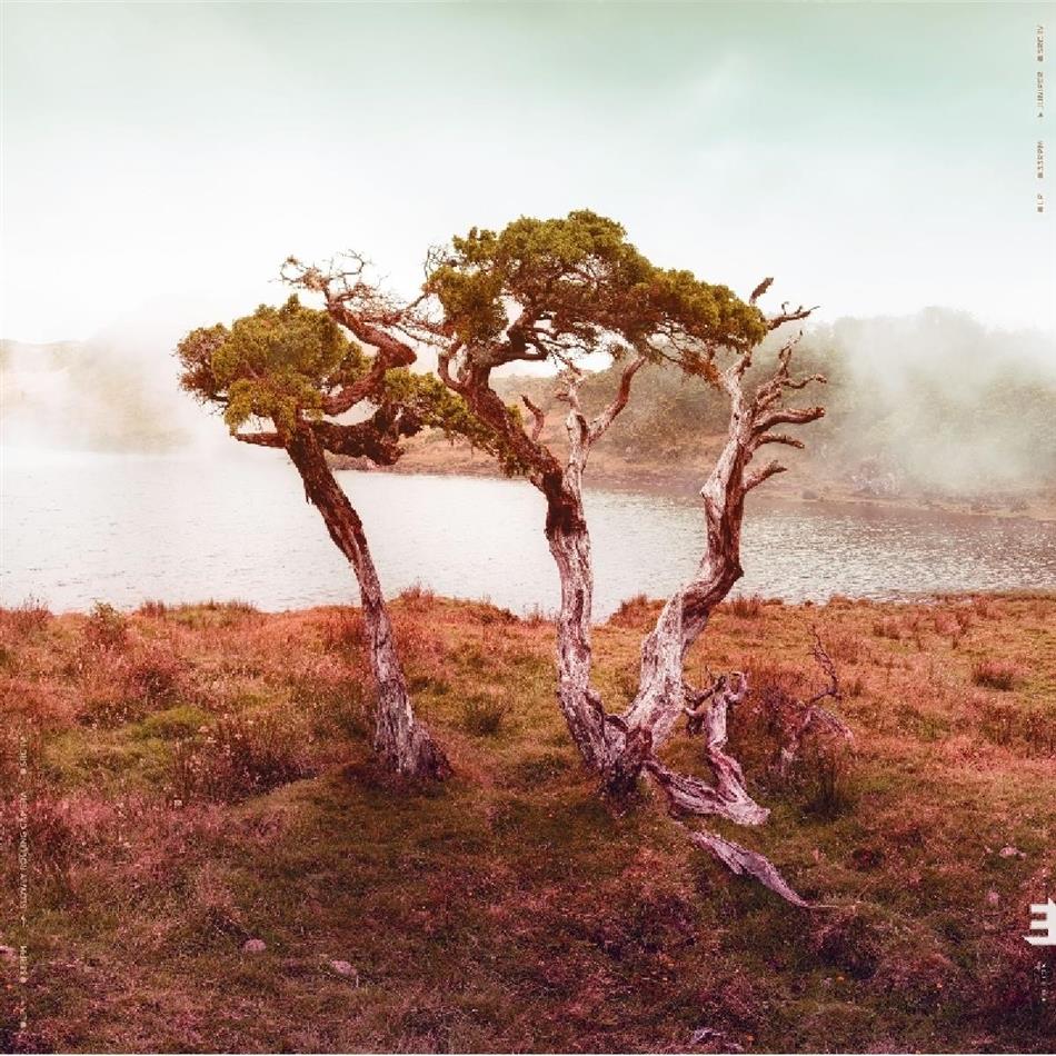 Juniper von Slowly Rolling Camera - CeDe.ch