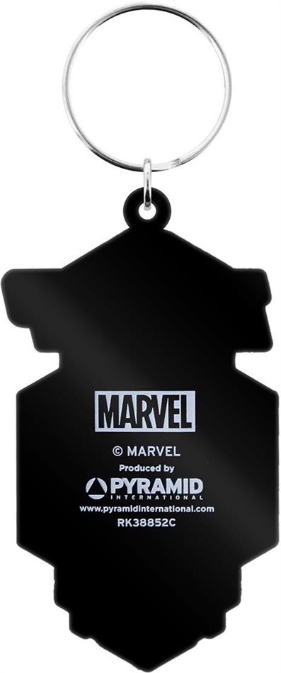 Ant-Man And The Wasp - Keyring - CeDe.ch