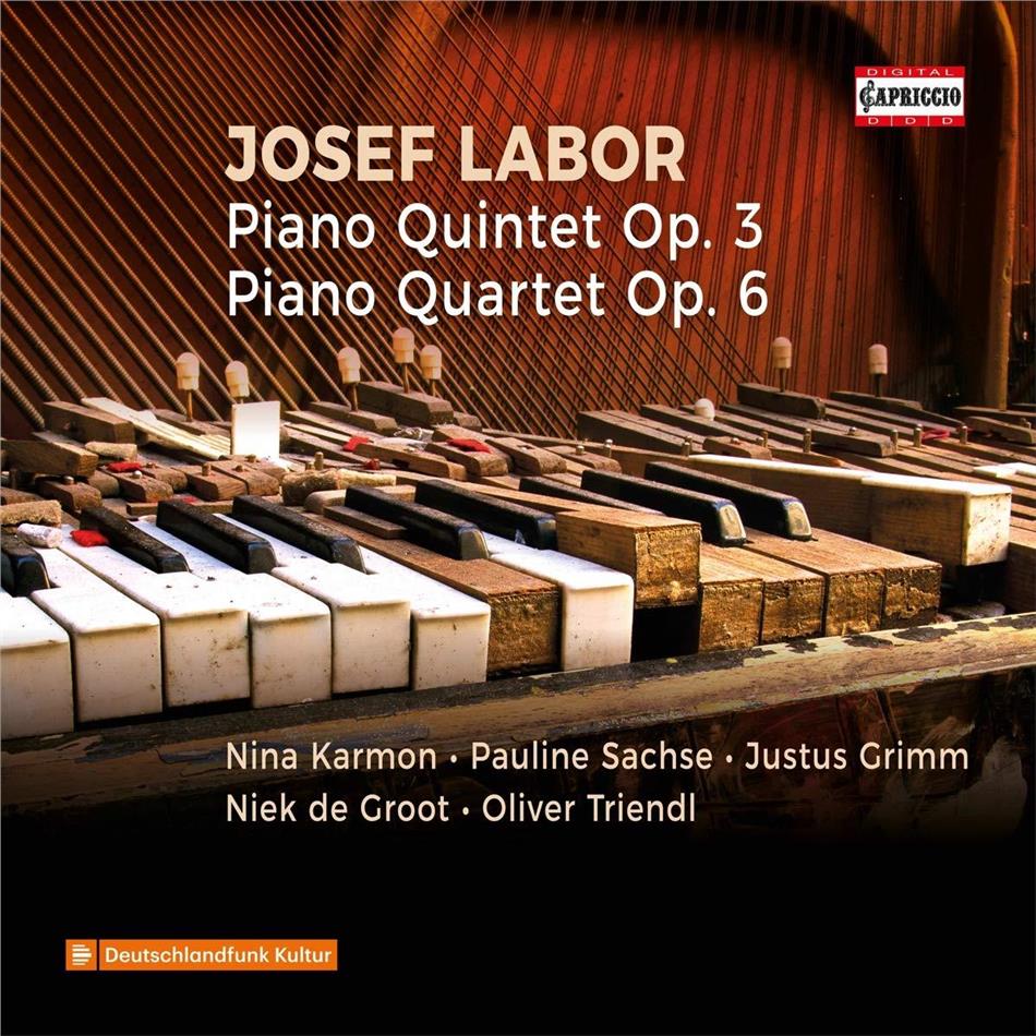 Piano Quartet/Piano Quintet by Josef Labor (1842-1924), Nina Karmon ...